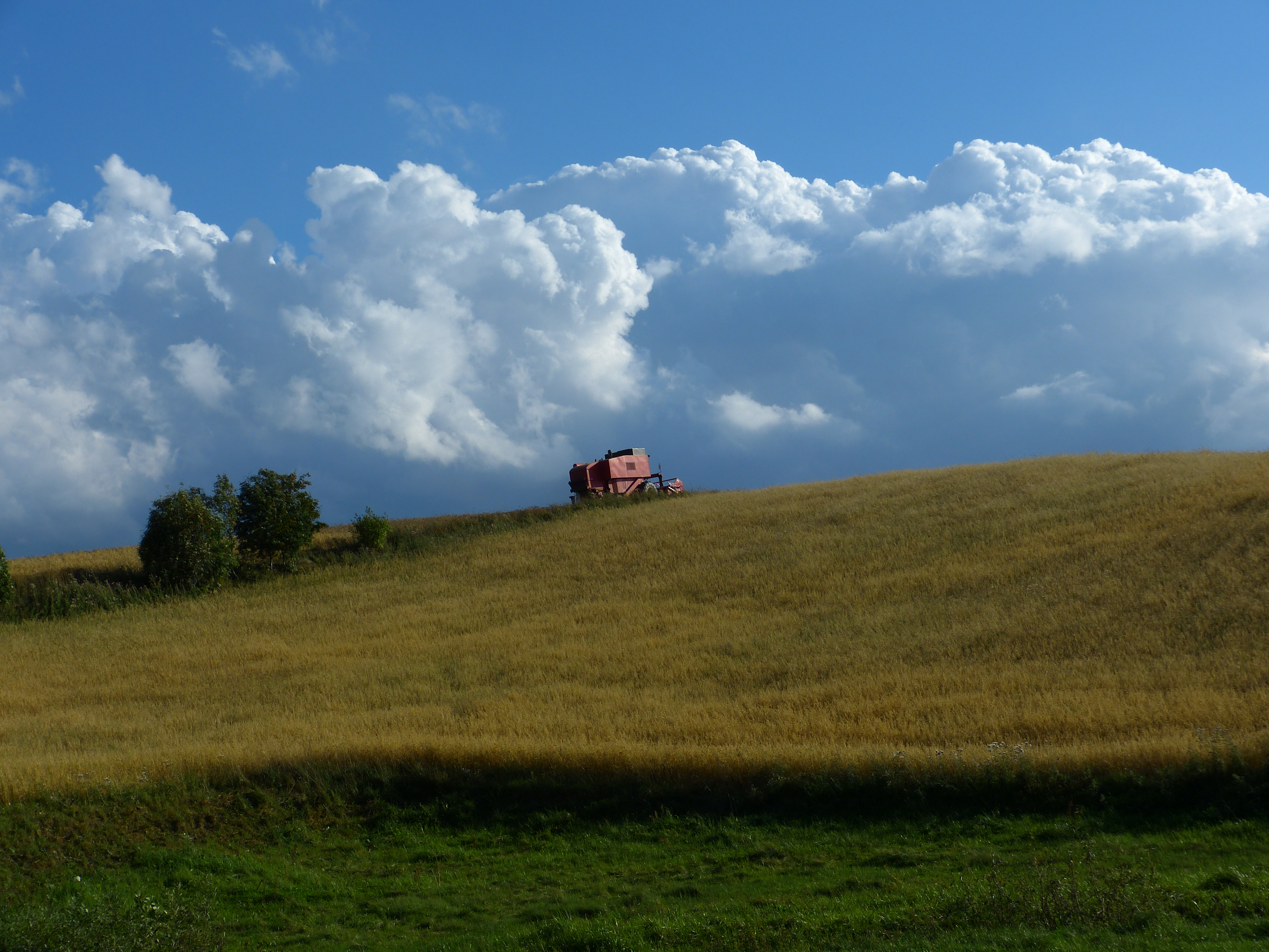 AgroPlatforma ODR - Zmiany w zatrudnianiu cudzoziemców | AGRO