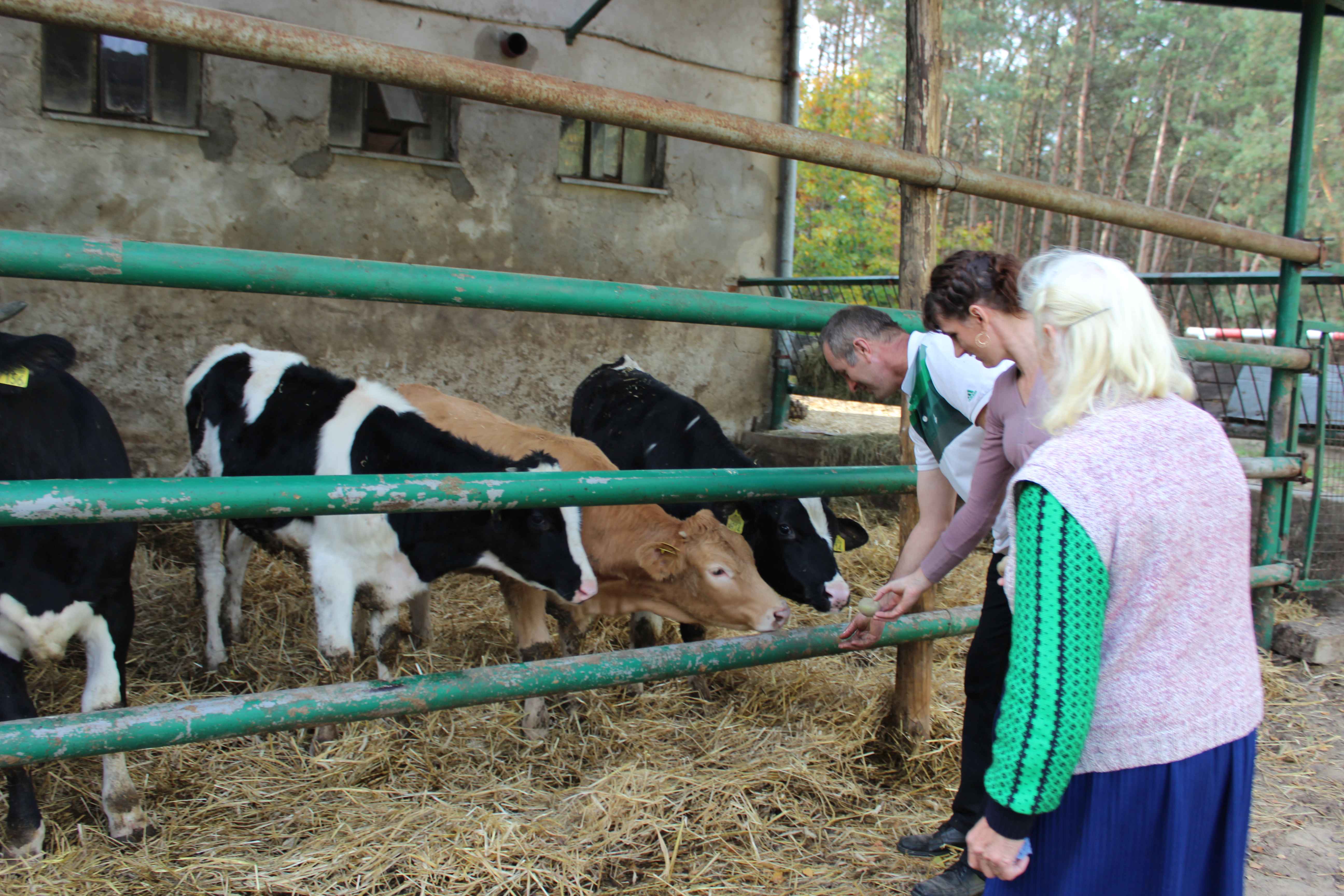 AgroPlatforma ODR - Gospodarstwa opiekuńcze | AGRO