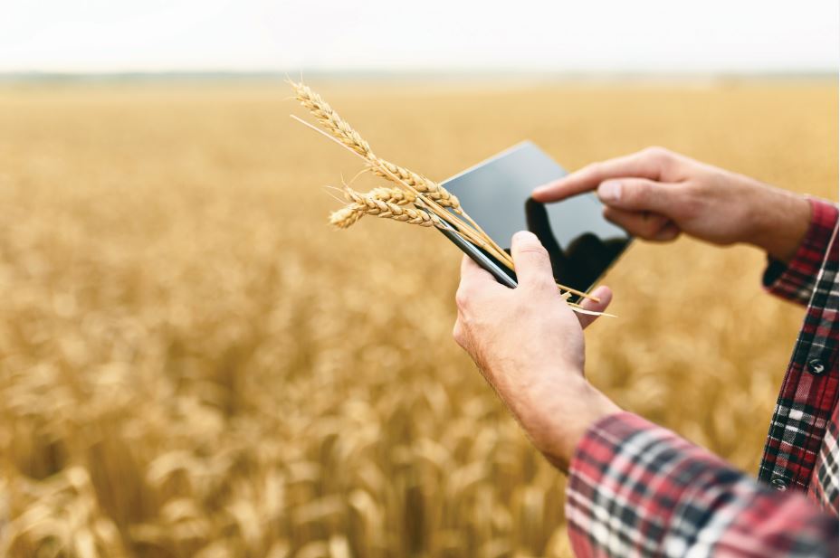 AgroPlatforma ODR - Platforma Żywnościowa - to sposób na rozwój obrotu ...