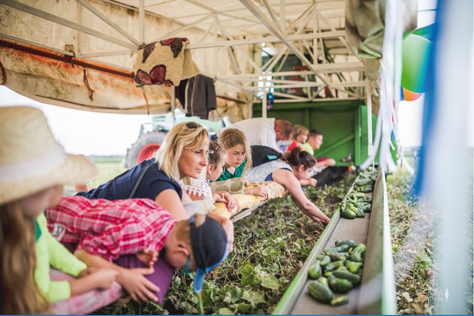 AgroPlatforma ODR - Zielony ma garniturek | AGRO